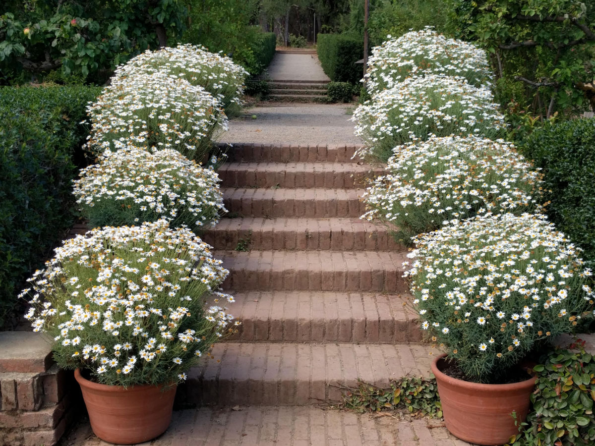 Back to Real Life… – Hunting for Vintage