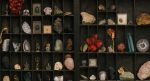 Dark Academia Decor, Yes Please! – Hunting for Vintage