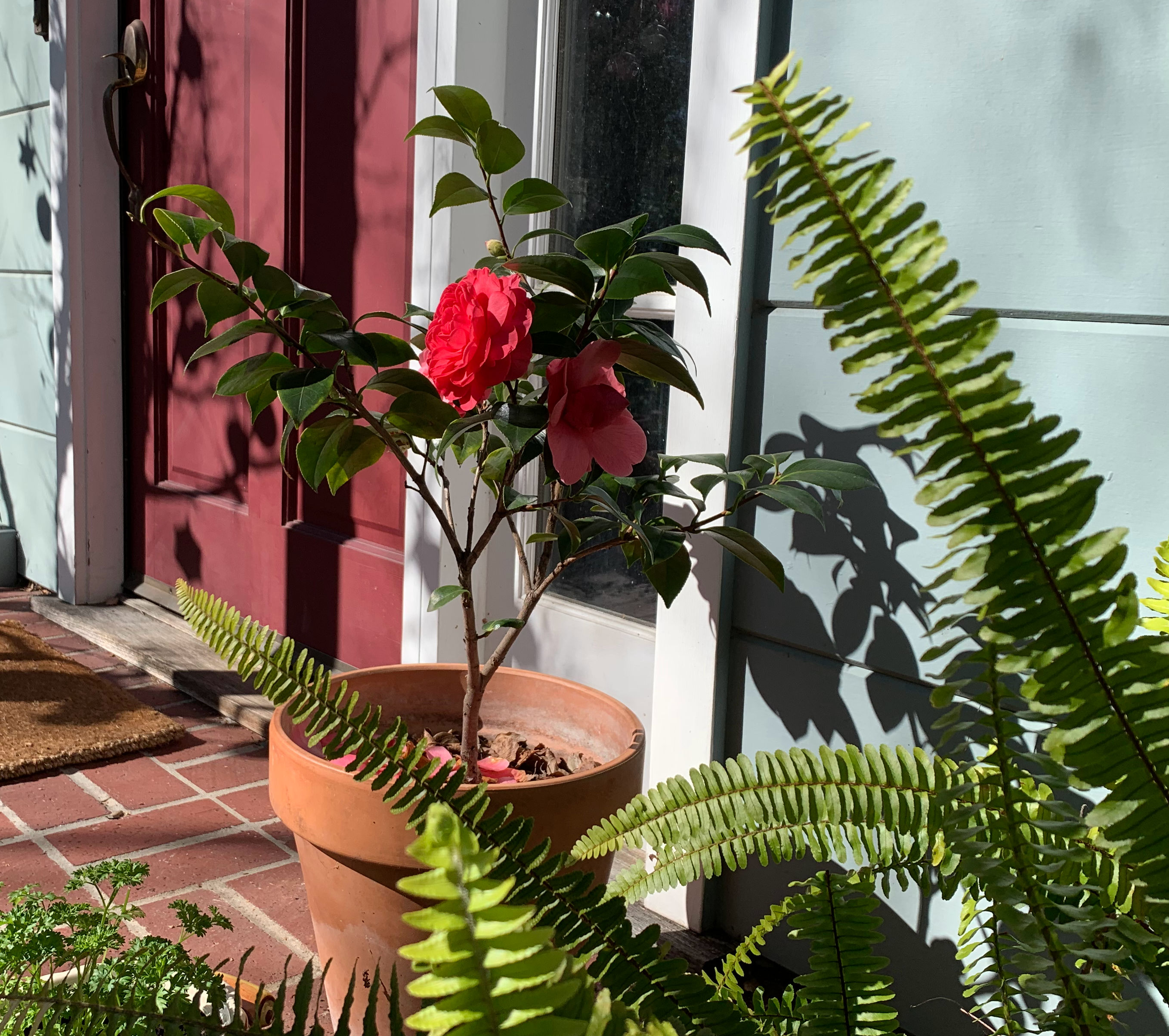 The Best Laid Plans…Poof! – Hunting for Vintage